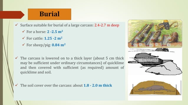 Disposal-of-carcasses-1.pptx | Pet Supplies | Pets