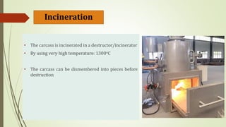 Disposal-of-carcasses-1.pptx