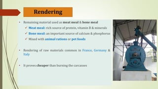 Disposal-of-carcasses-1.pptx