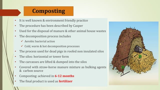 Disposal-of-carcasses-1.pptx | Pet Supplies | Pets