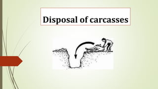Disposal-of-carcasses-1.pptx