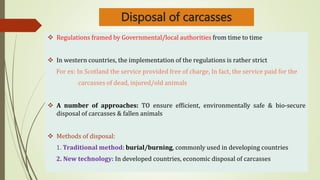 Disposal-of-carcasses-1.pptx