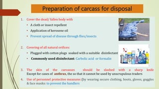 Disposal-of-carcasses-1.pptx