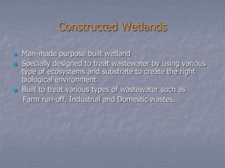 Disposal of dairy sludge | PPTX