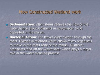Disposal of dairy sludge | PPTX