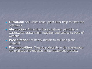 Disposal of dairy sludge | PPTX