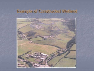Disposal of dairy sludge | PPTX