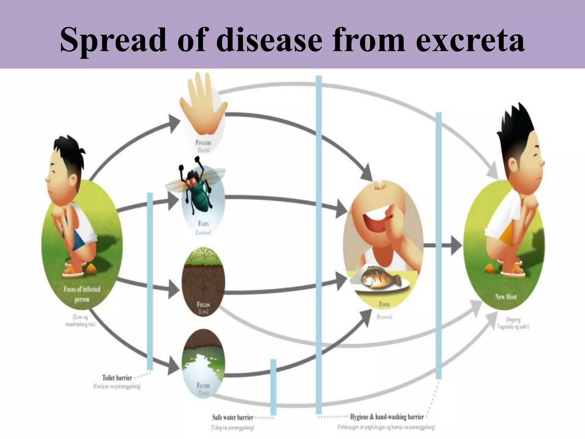 Disposal of excreta | PPTX