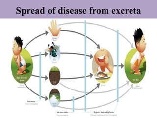 Disposal of excreta | PPTX