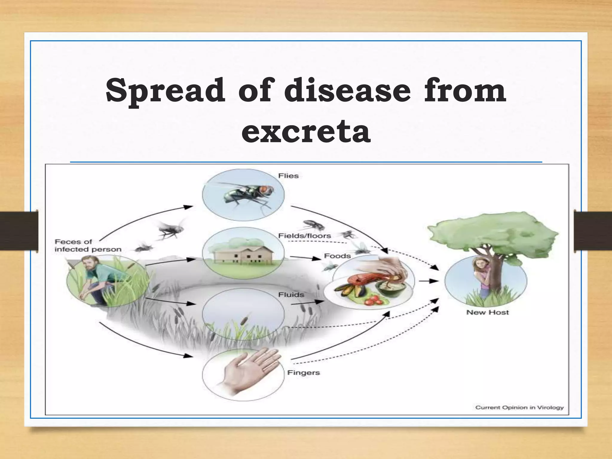 Disposal of excreta | PPTX