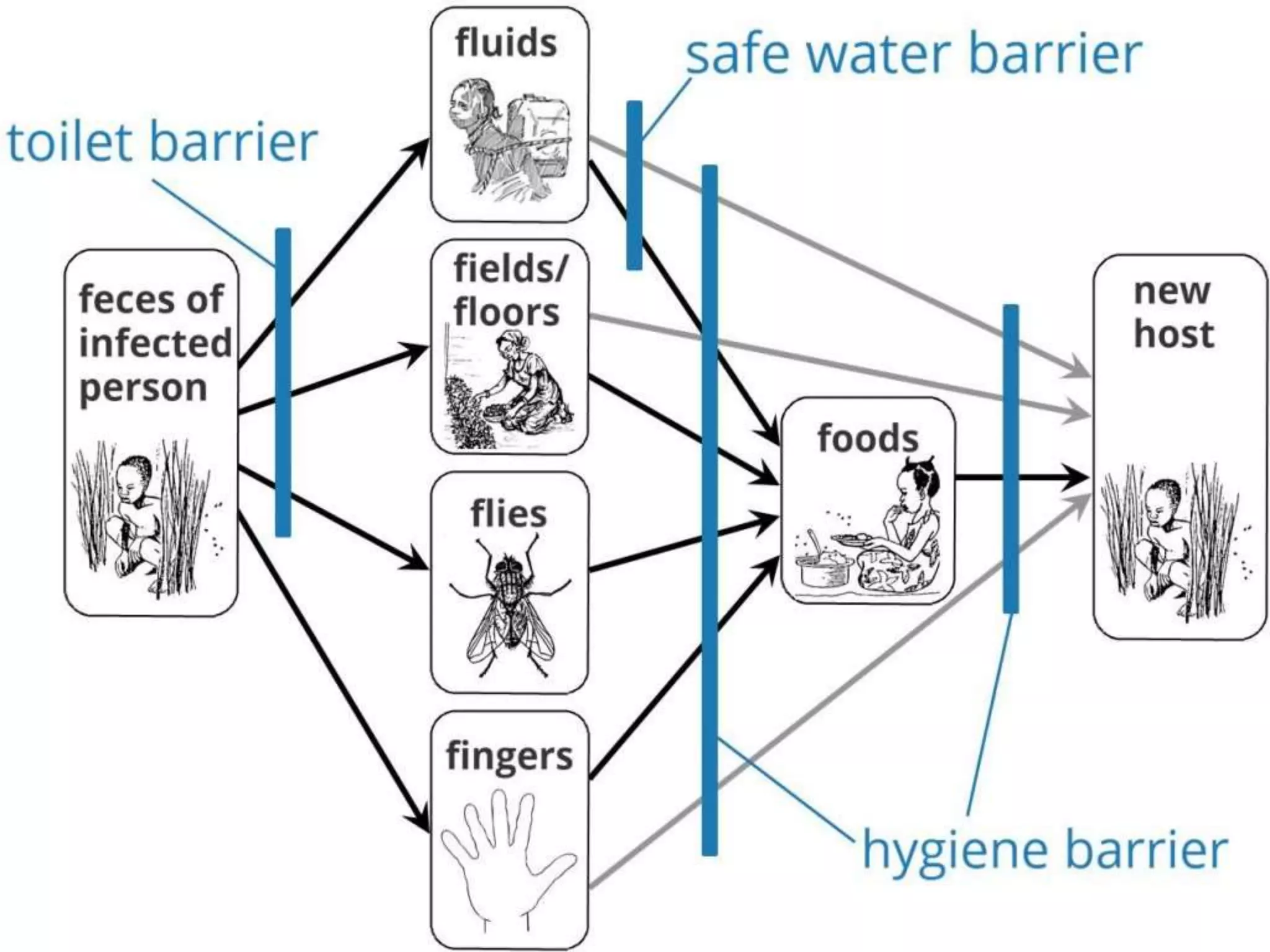 Disposal of excreta | PPTX