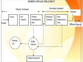 Disposal of excreta | PPTX
