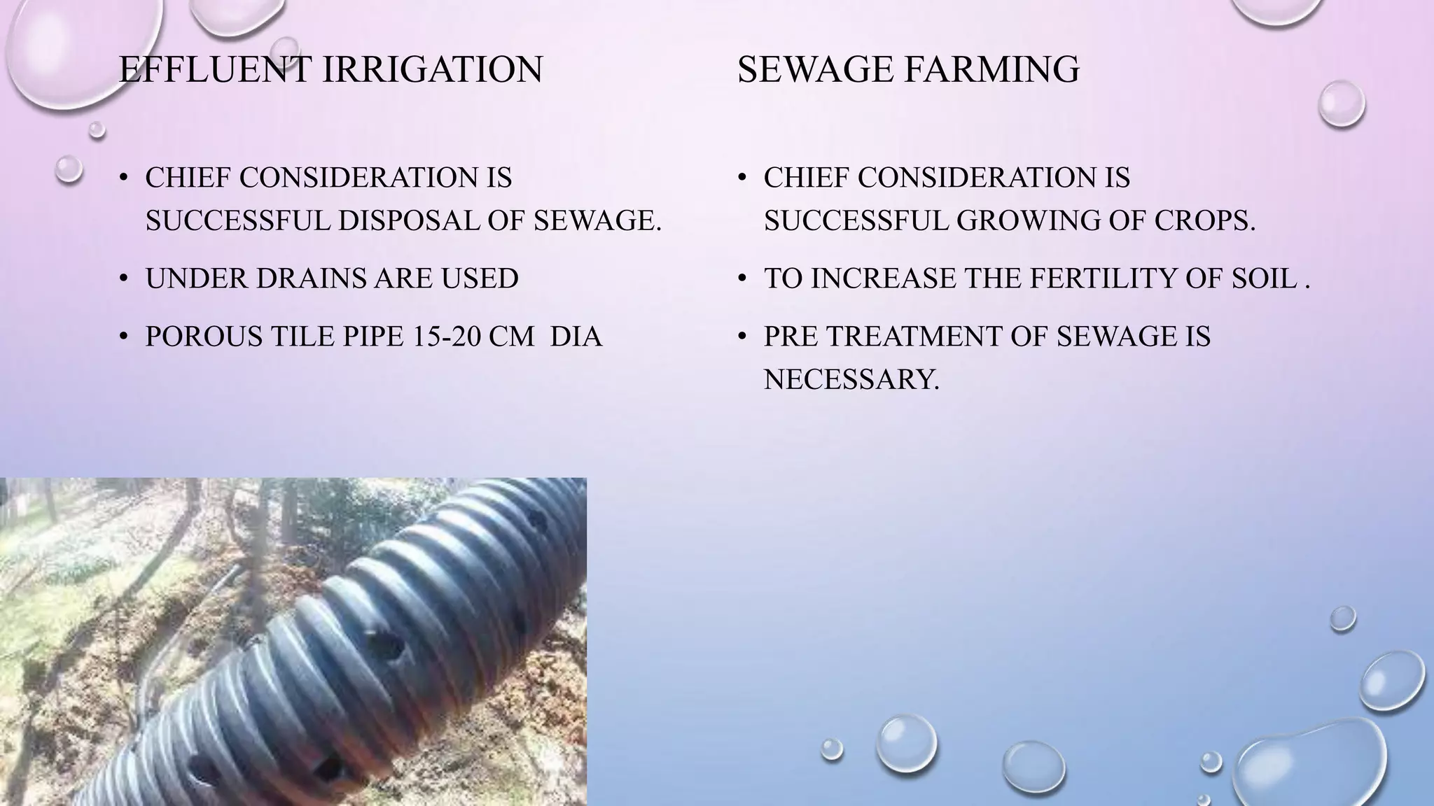 Disposal of sewage and sludge management | PPTX