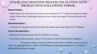 Disposal of sewage and sludge management | PPTX