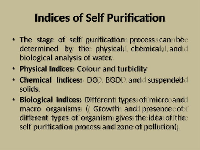 disposal of sewage effluent in water.pptx