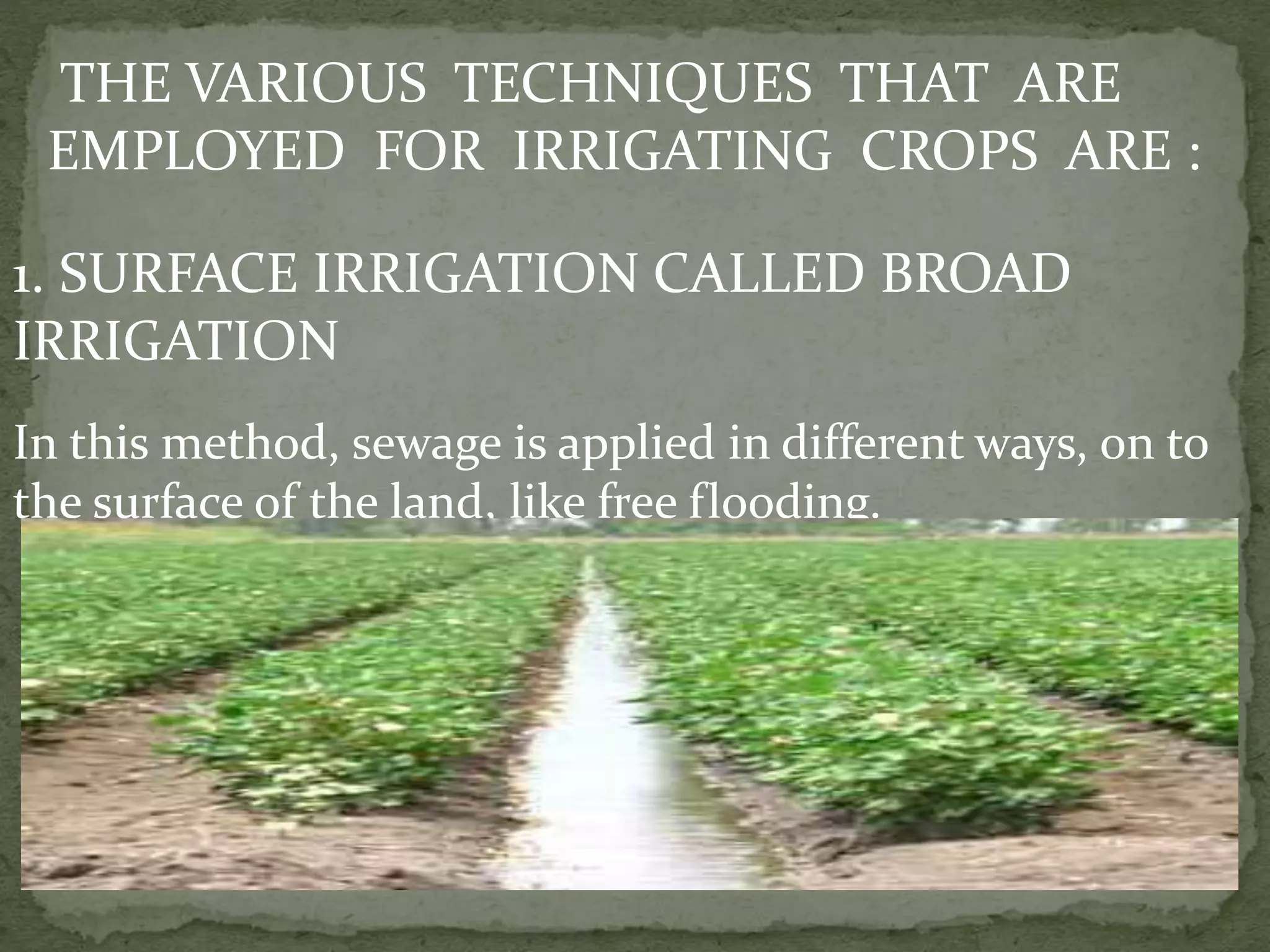 Disposal of sewage on land | PPTX