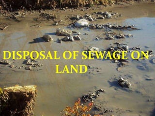 Disposal of sewage on land | PPTX