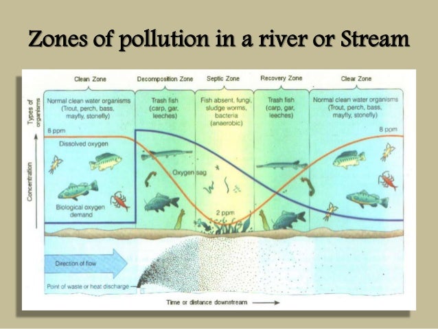 Illustrasi Tentang Stream Pollution