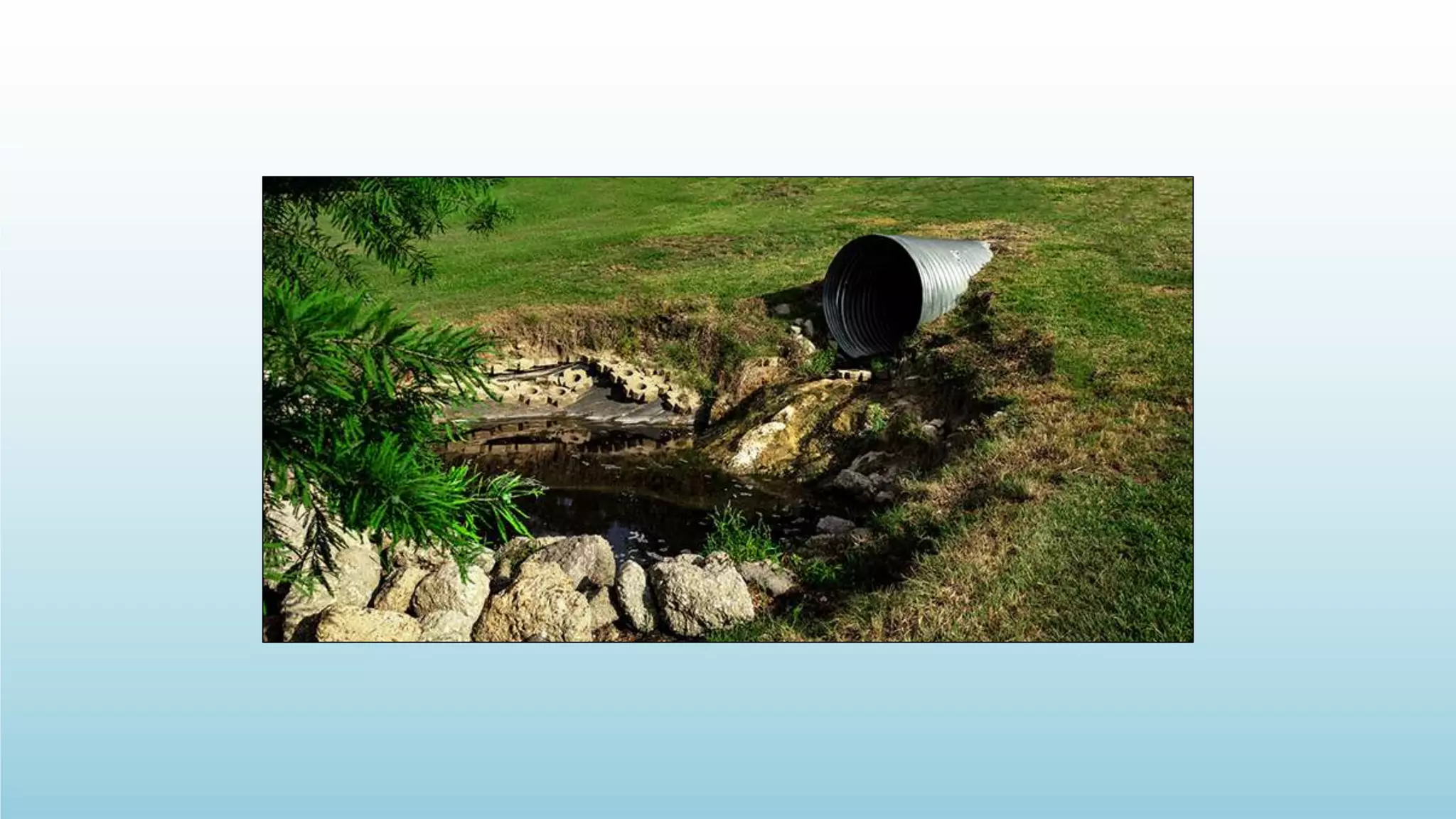 Disposal of wastewater | PPTX