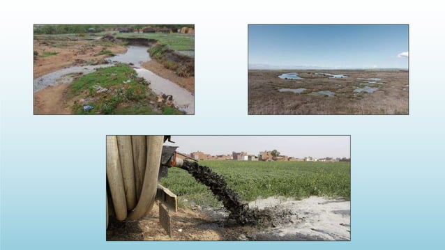 Disposal of wastewater | PPTX