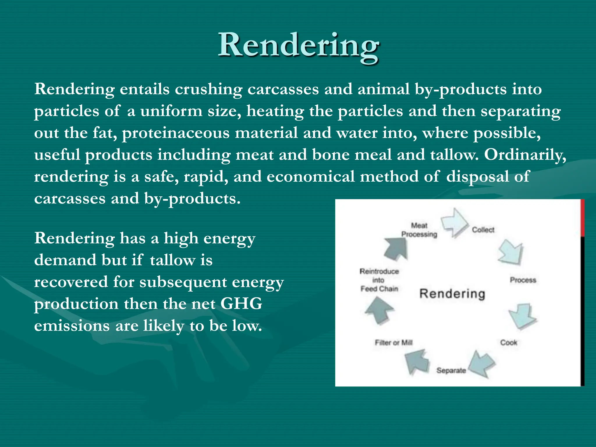 Disposing Carcass.ppt