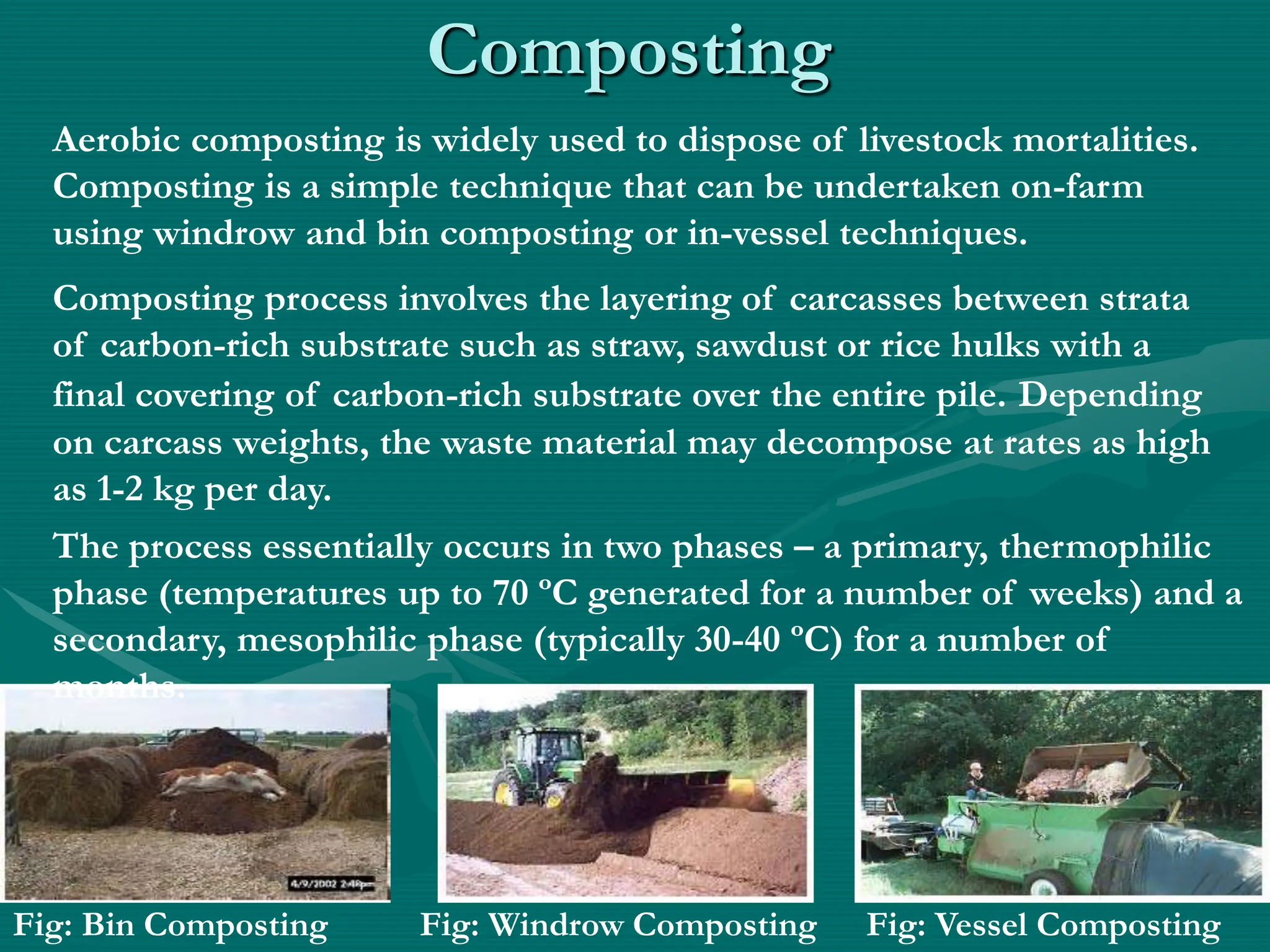 Disposing Carcass.ppt