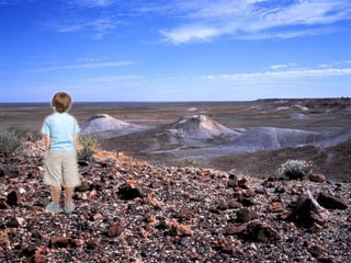 Dispositional Learning Analytics: Learning Power in Complex Systems | PPTX