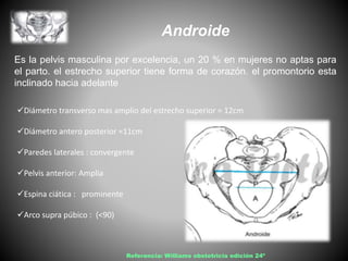 Pelvis ósea obstetricia................. | PPTX