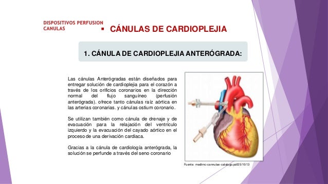 Dispositivos - Perfusion Cardiovascular