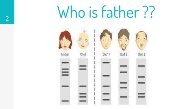 Disputed Paternity.pptx | Blood Disorders | Diseases and Conditions