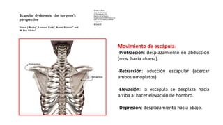 Disquinesia escapular post fractura clavicular | PPTX