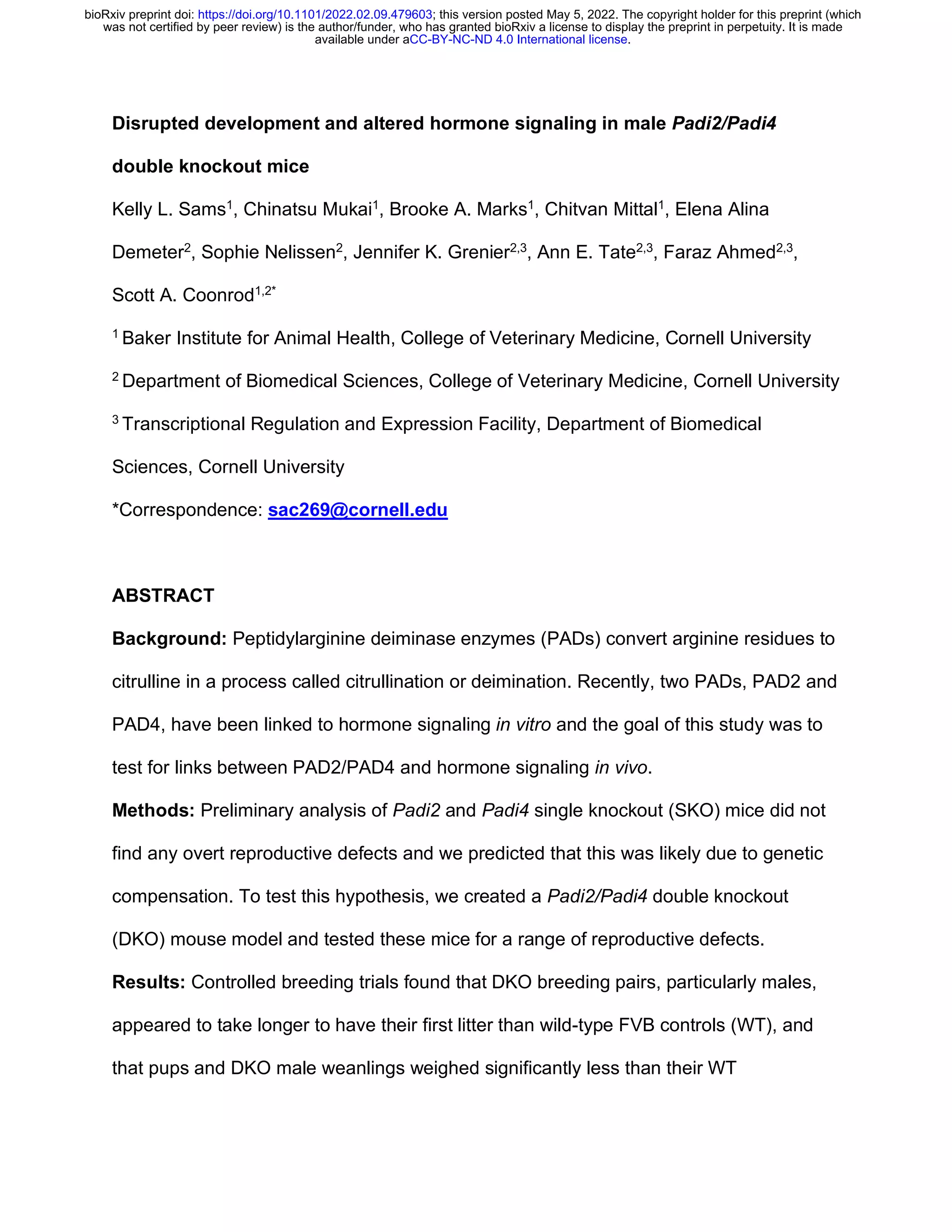 Disrupted development and altered hormone signaling in male Padi2:Padi4 ...