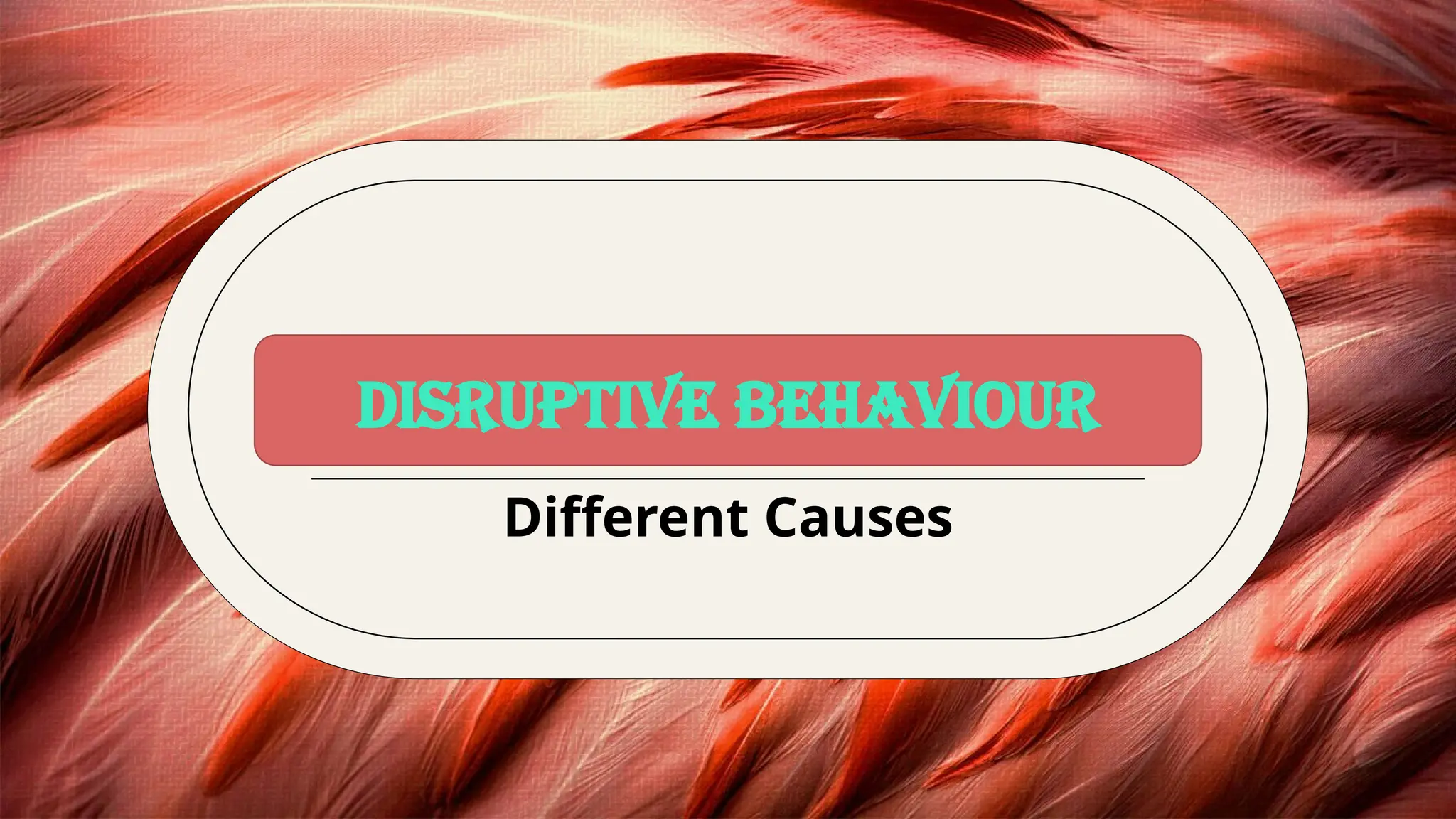 Management of Disruptive Behavior In The Classroom.pptx