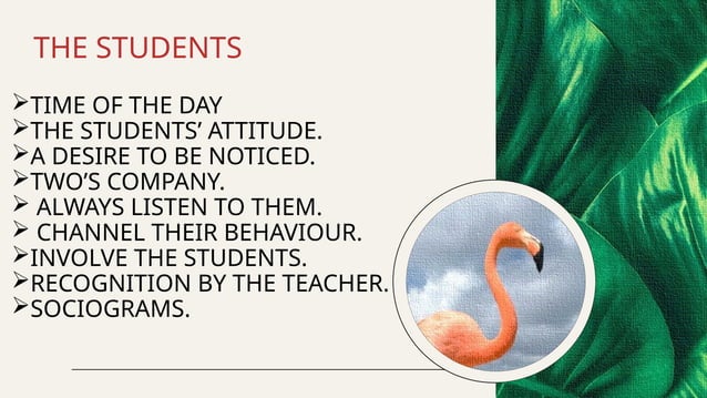 Management of Disruptive Behavior In The Classroom.pptx