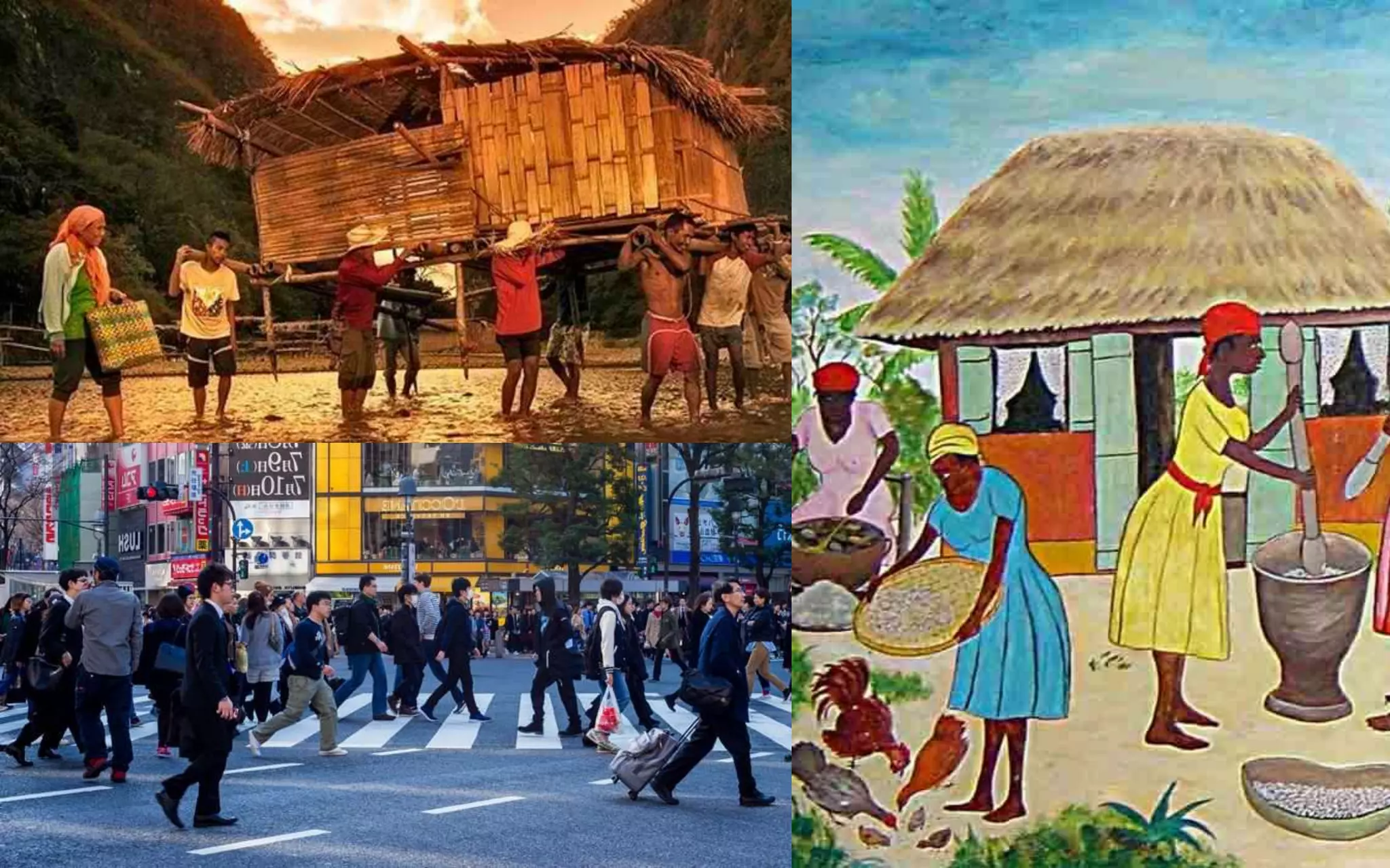 Diss lesson-1-defining-social-science-as-a-study-of-society | PPT