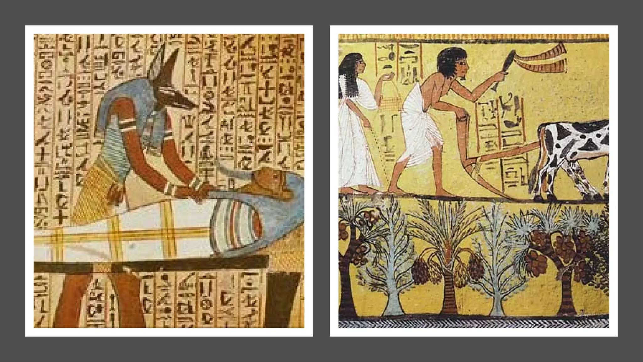 DISS-Lesson-2-Branches-of-Social-Sciences.pptx