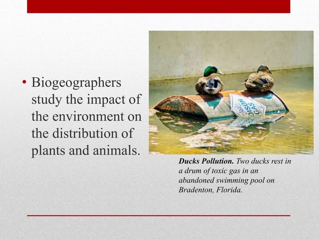 Diss lesson-3-introducing-geography-and-history | PPTX