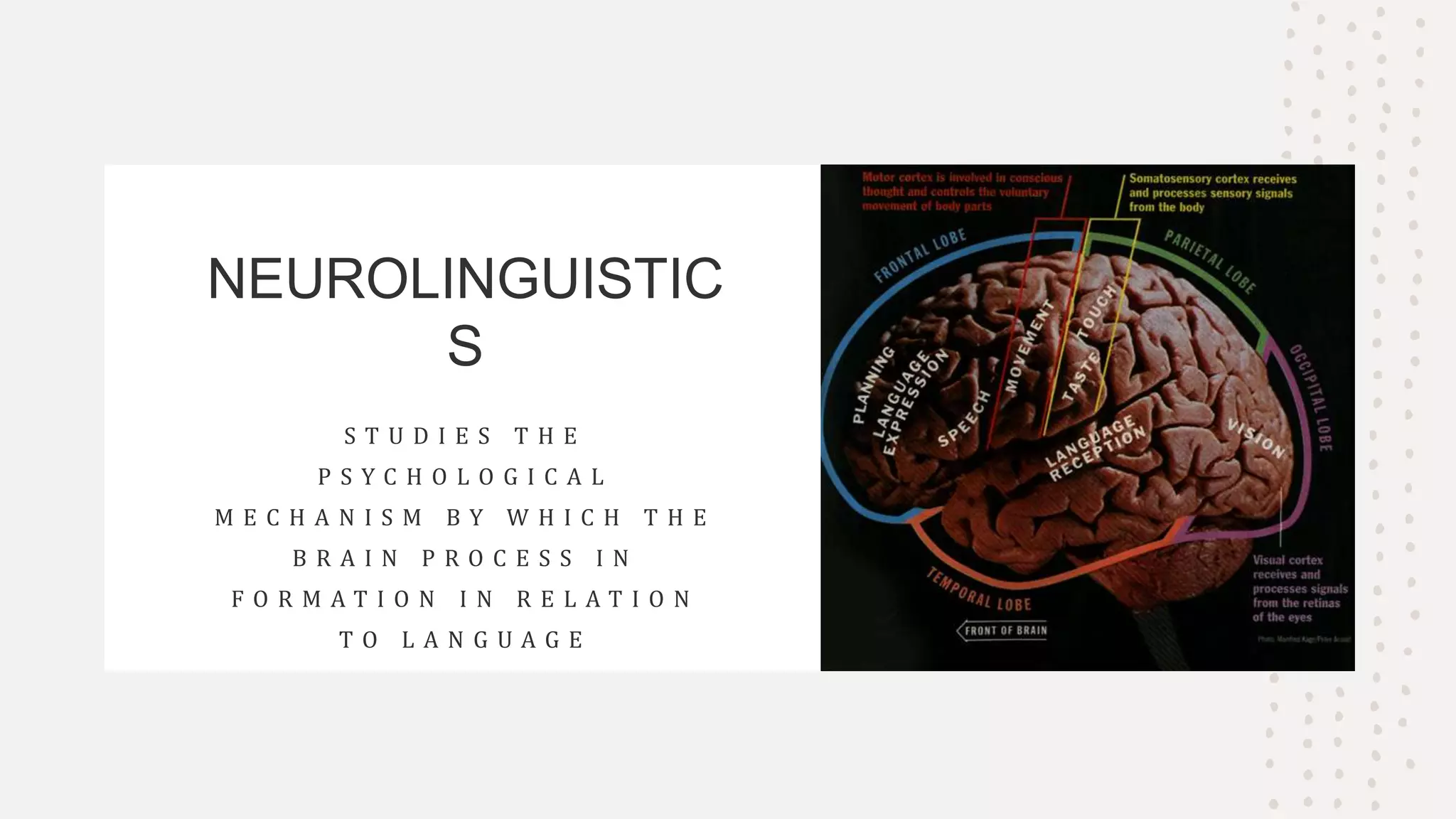 Diss Linguistics | PPTX