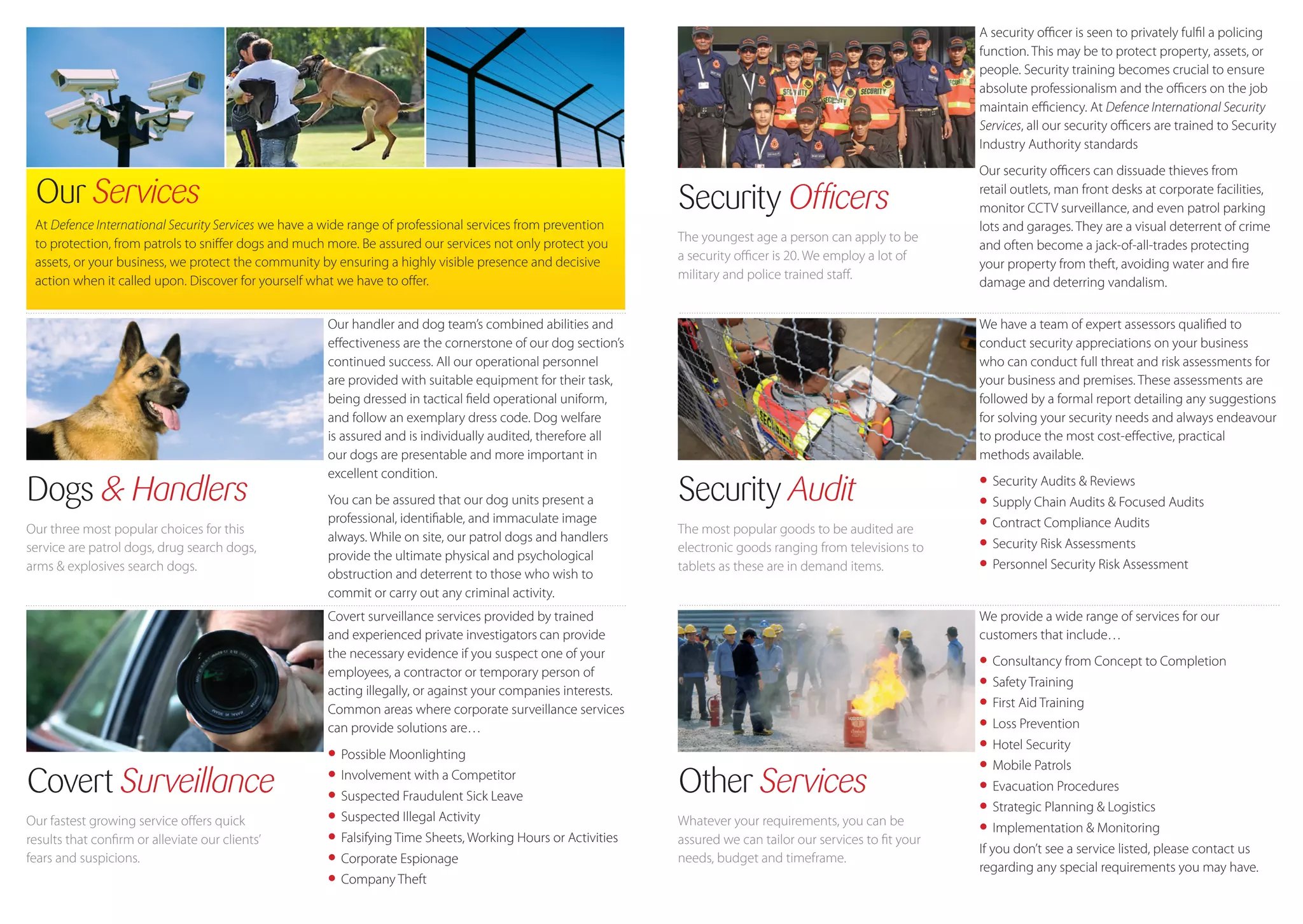 Defence International Security Services | PDF | Defense Industry ...