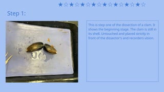Dissecting A Clam procedures and steps.pptx