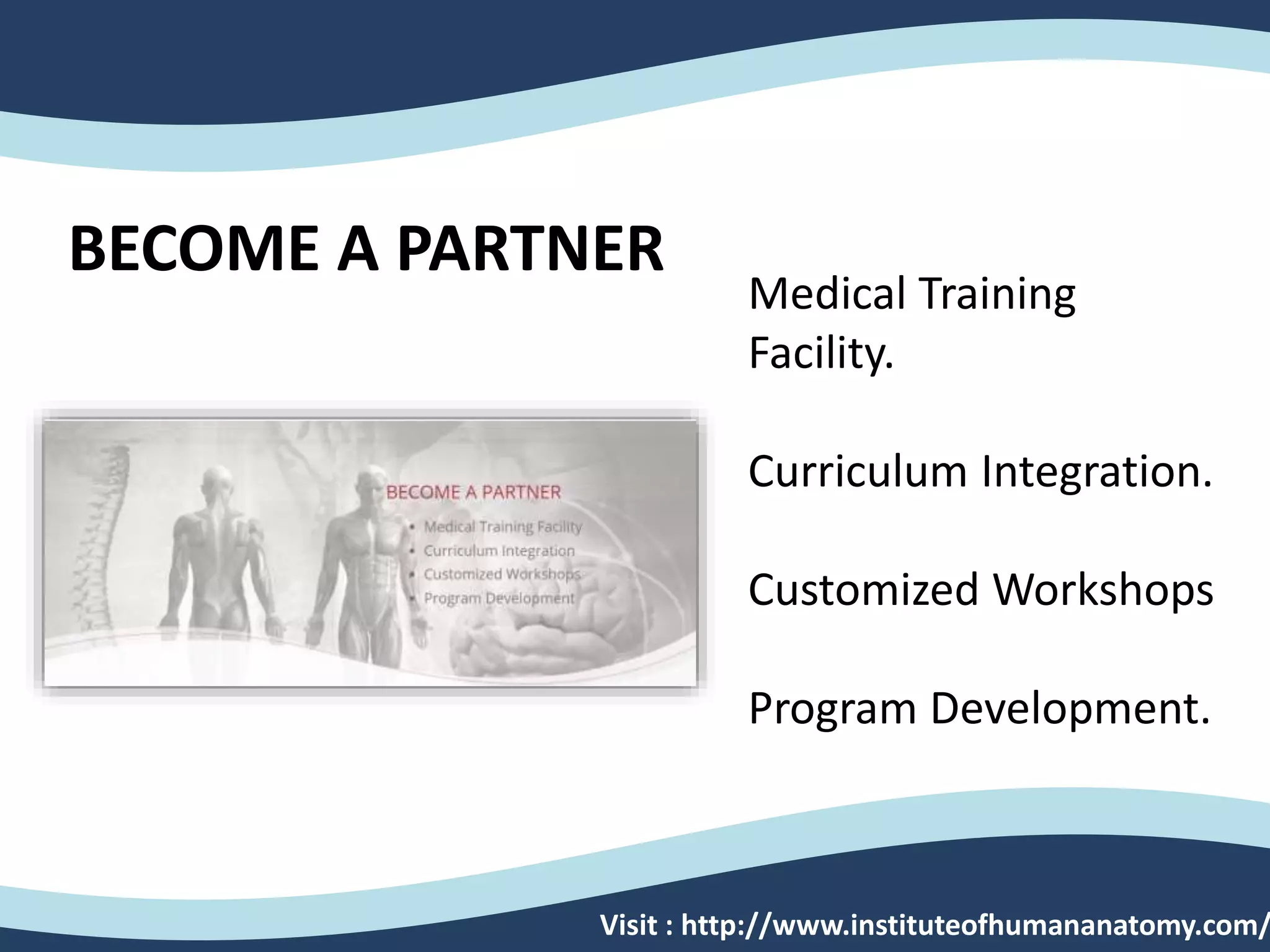 Dissecting a human body | PPTX | Medical Health