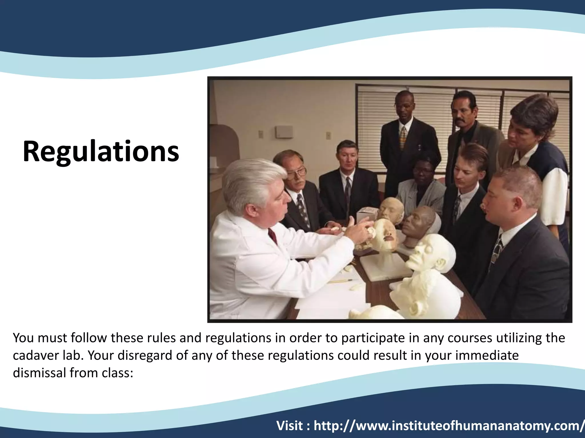 Dissecting a human body | PPTX