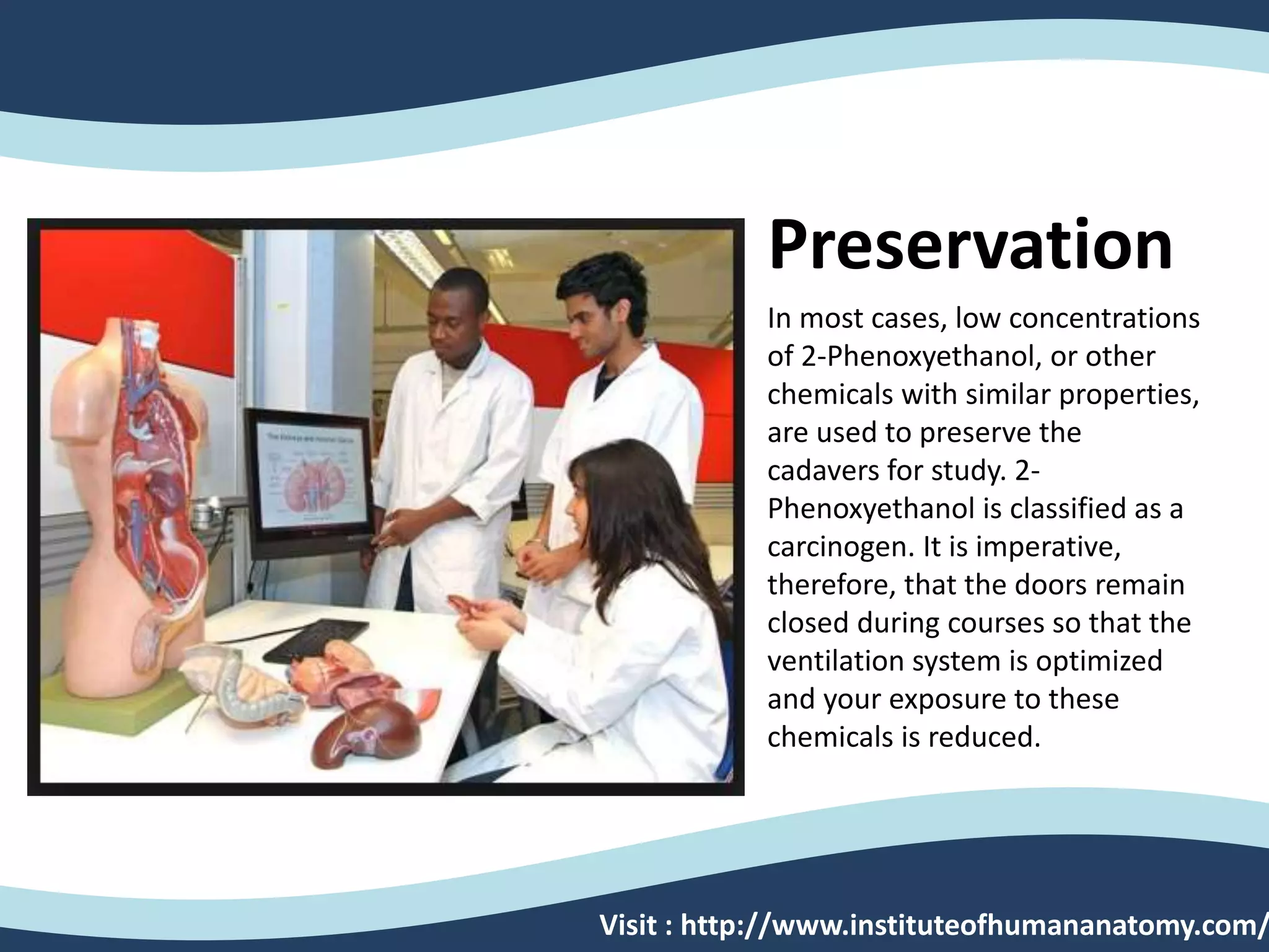 Dissecting a human body | PPTX