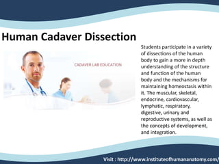 Dissecting a human body | PPTX