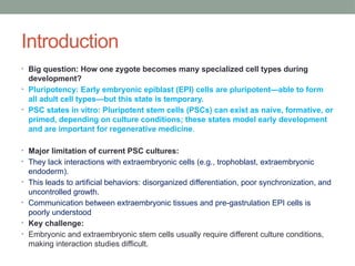 Dissecting embryonic and extraembryonic lineage crosstalk with stem ...