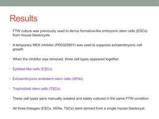 Dissecting embryonic and extraembryonic lineage crosstalk with stem ...