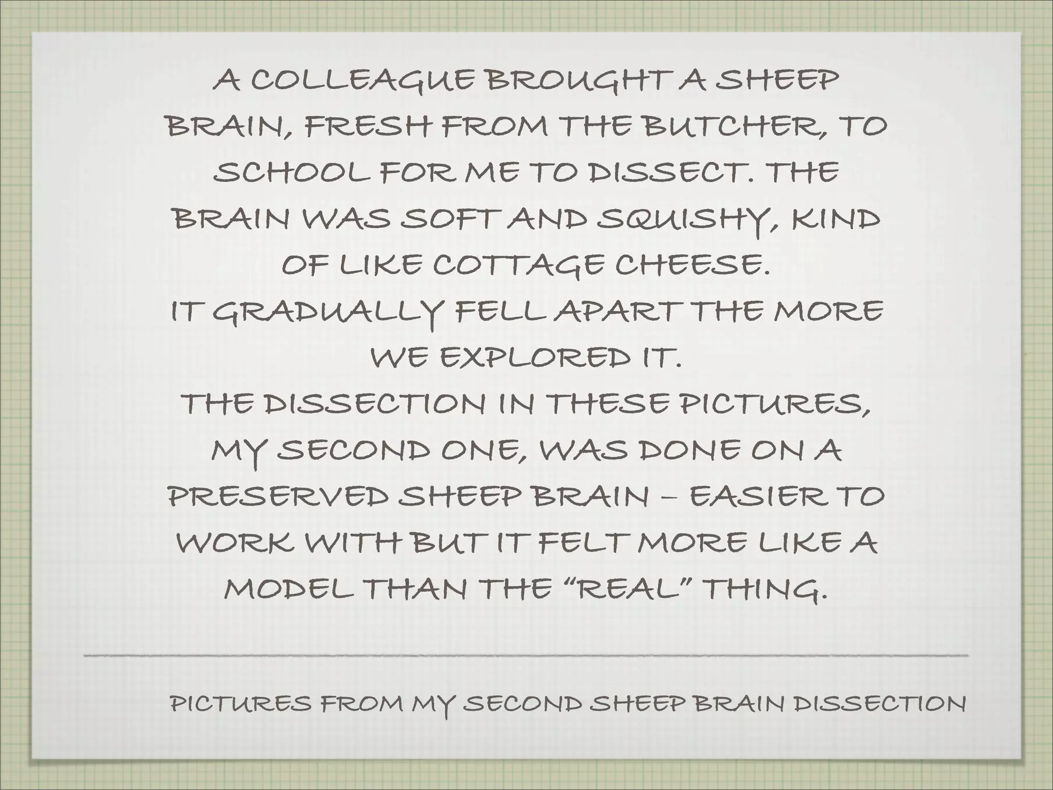 Sheep Dissection | PPT