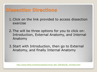 Dissection | PPTX