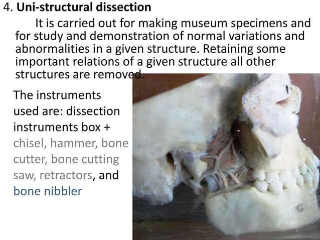 Dissection and instruments | PPTX | First Aid | Injuries