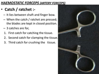Dissection and instruments | PPTX